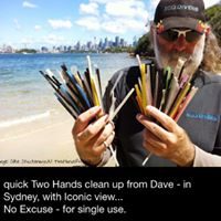 The Last Plastic Straw GreenMeLocally.com