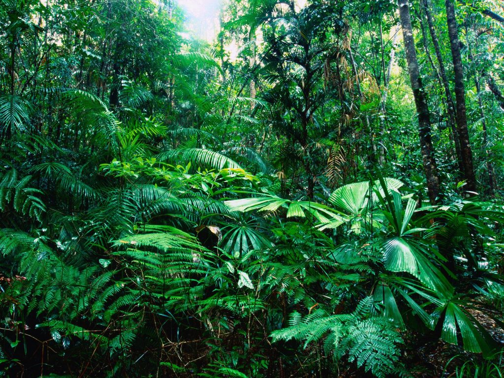 Plant Extinction Prevention - GreenMeLocally.com